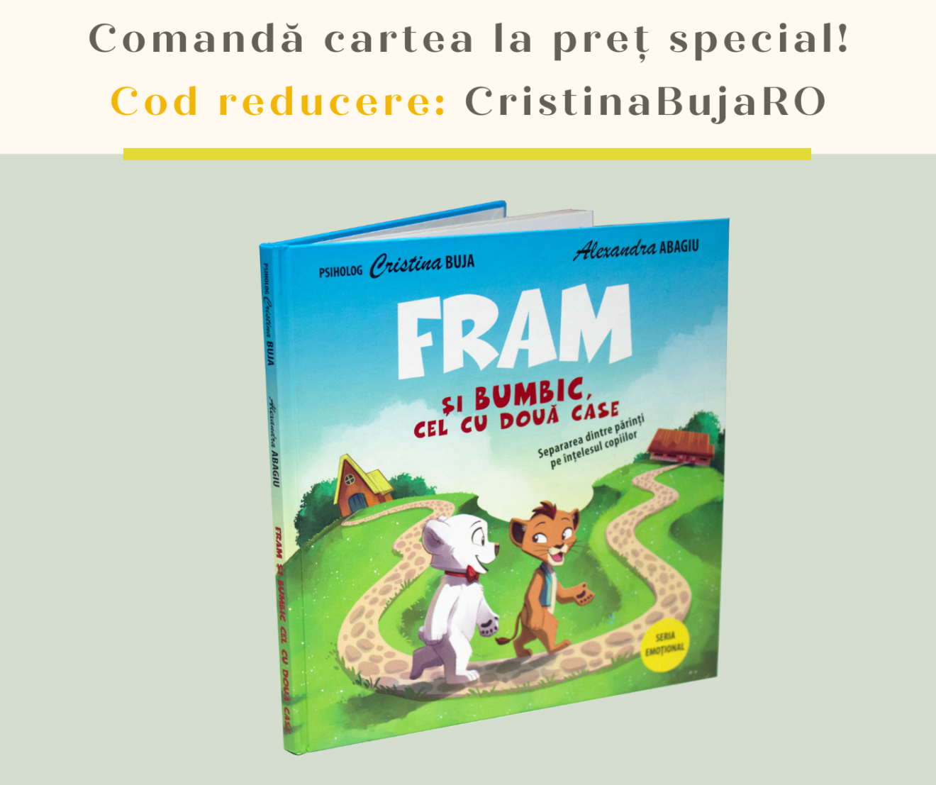 Jocuri de cunoastere - Psiholog Cristina Buja